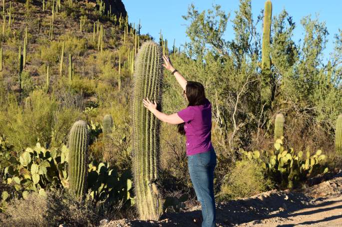Saguaro National Park: Things to Know Before You Go – Jaunting Jen