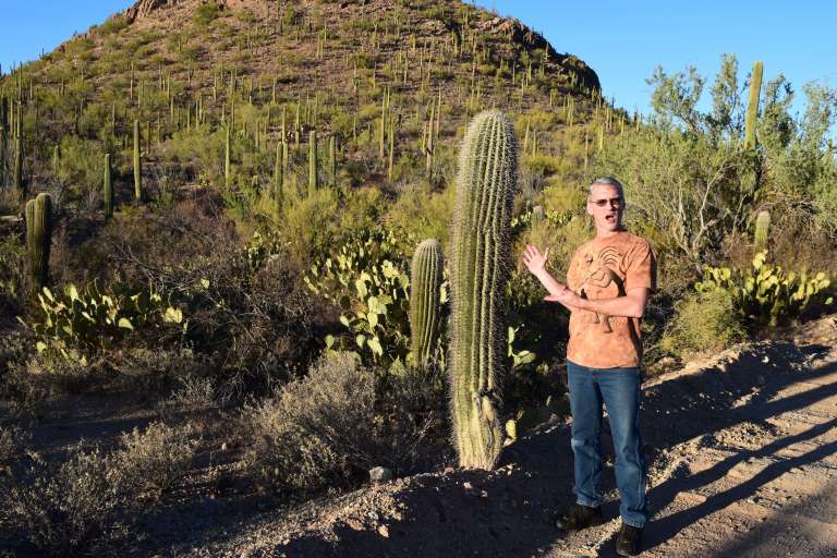 Saguaro National Park: Things to Know Before You Go – Jaunting Jen